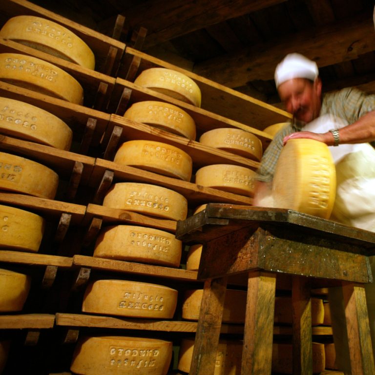 Crucolo | Savello USA, Inc.